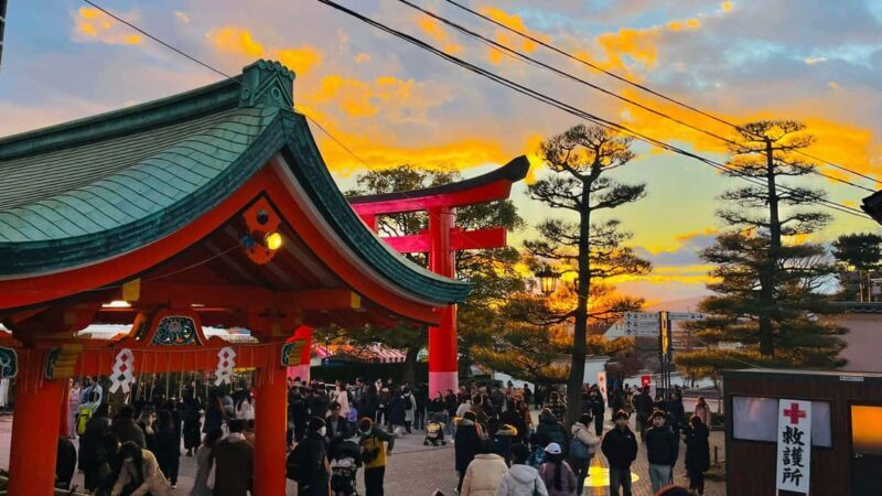 Kyoto and Nara: Private Tour with English speaking Guide - Practical Tips for Your Day