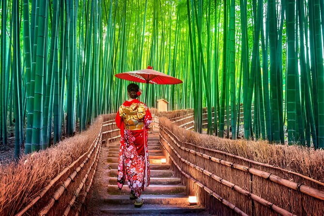 Kyoto and Nara Private Trip - FAQ