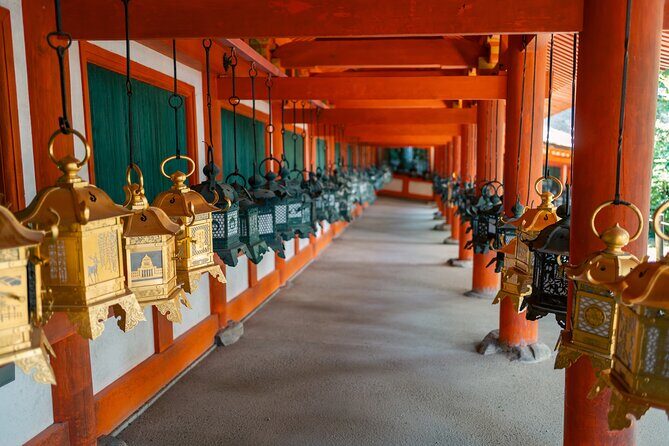 Kyoto and Nara Small Group Tour from Osaka - Value for Money