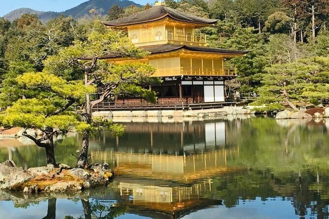 KYOTO and NARA TOUR with FREE ENTRANCE FEE(DRIVER ONLY) - An In-Depth Look at the Kyoto and Nara Experience