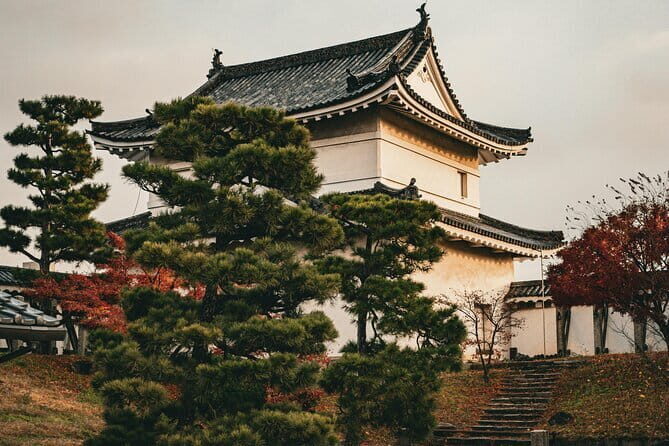 Kyoto and Uji for Classic Shrine and Matcha Private car Day Tour - Who Would Benefit Most?