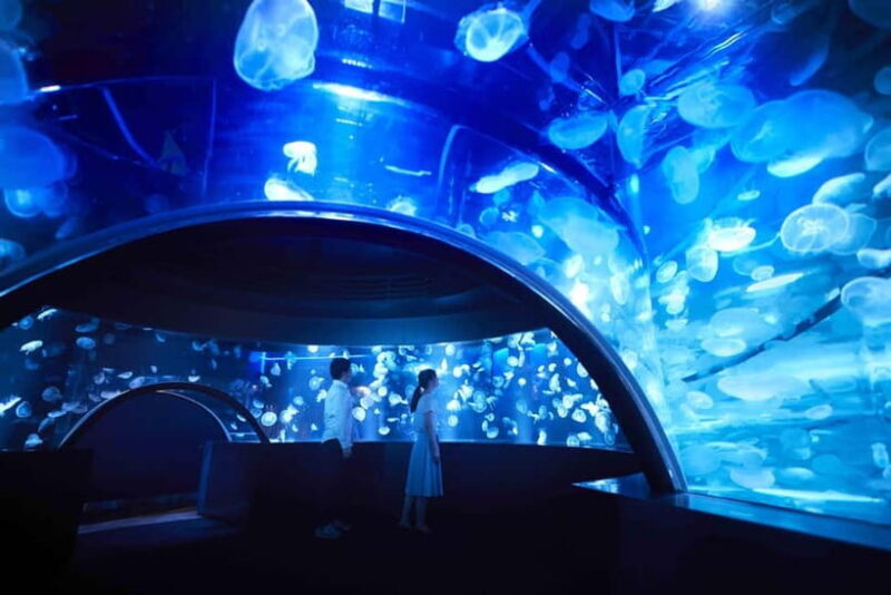 Kyoto Aquarium Admission Ticket - Practical details: What to know before you go