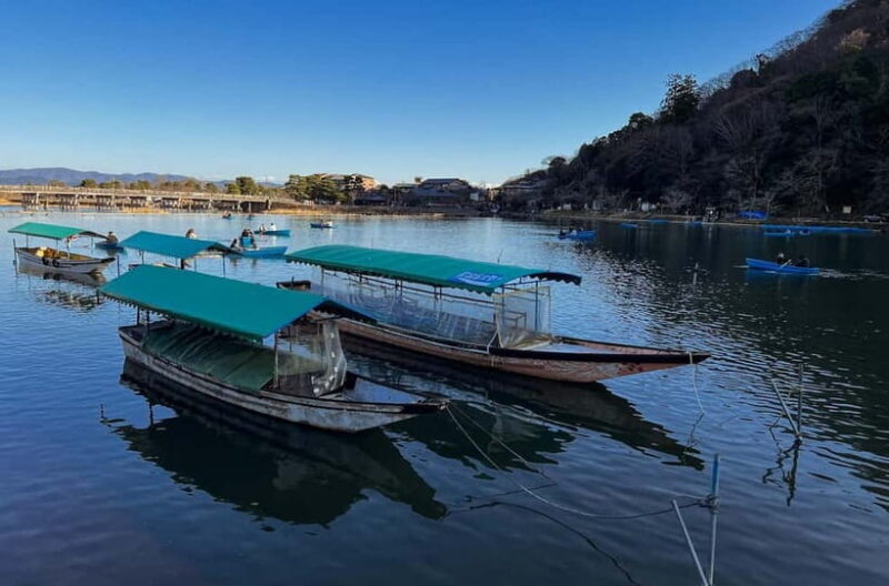 Kyoto: Arashiyama and Bamboo Forest Tour - The Experience in Detail