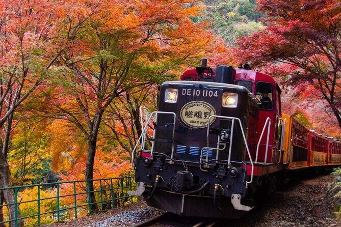 Kyoto Arashiyama and Nara Tour with Sagano Train, Giikawa Honpo - Key Points