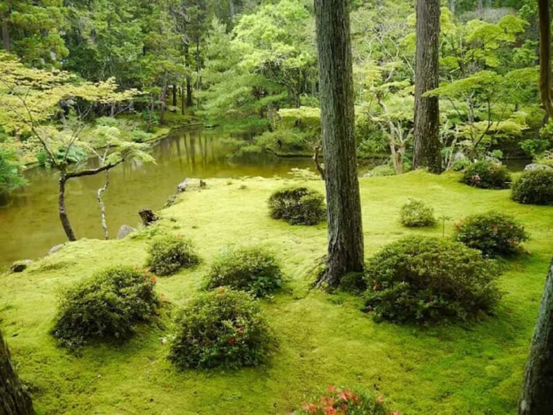 Kyoto: Arashiyama and Sagano Guided Walking Tour - Authentic Experiences and Interesting Details