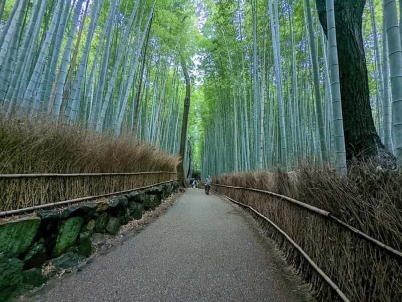 Kyoto: Arashiyama and Sagano Guided Walking Tour - Final Thoughts: Is This Tour Right for You?
