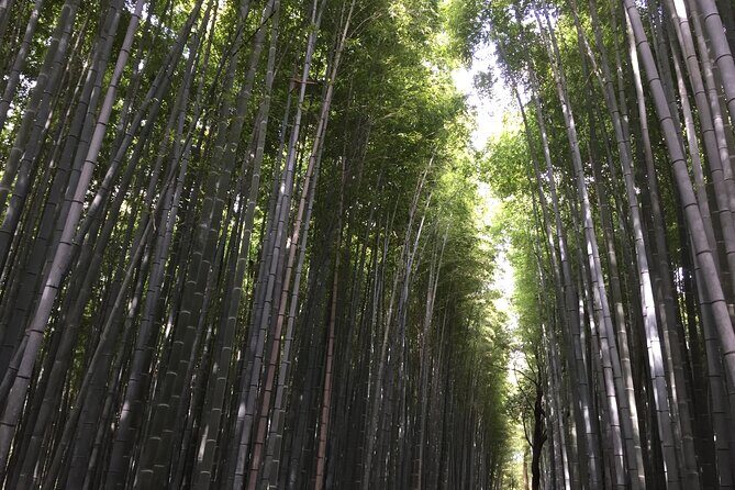 Kyoto: Arashiyama, bamboo forest and beyond - Practical Details and Logistics
