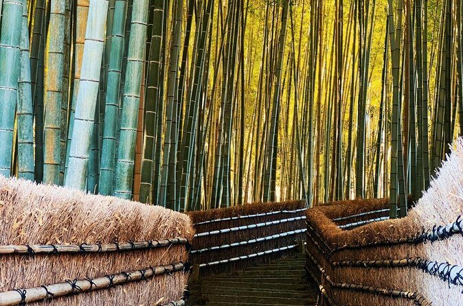 Kyoto: Arashiyama, bamboo forest and beyond - Authenticity and Traveler Feedback