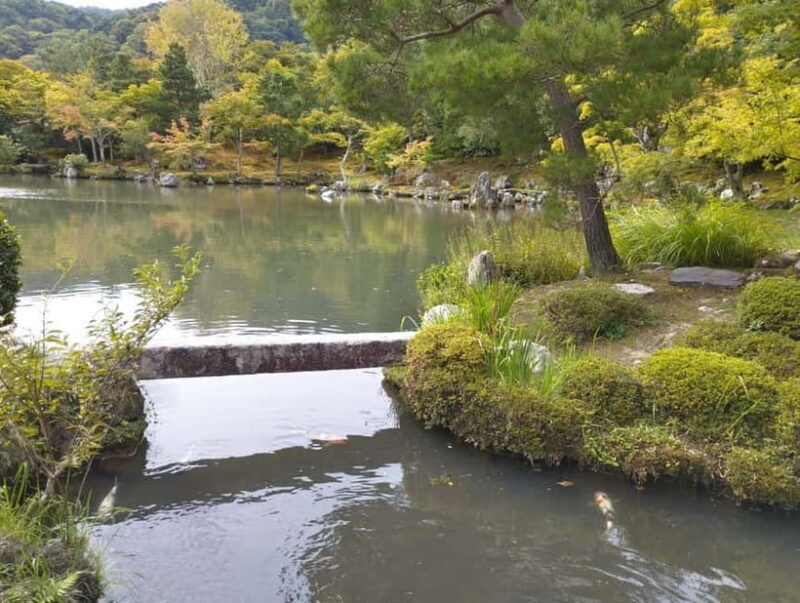 Kyoto: Arashiyama Bamboo Forest and Nijo Castle Private Tour - A Closer Look at the Itinerary