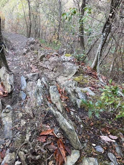 Kyoto: Arashiyama Bamboo Forest Hiking Tour - Key Points