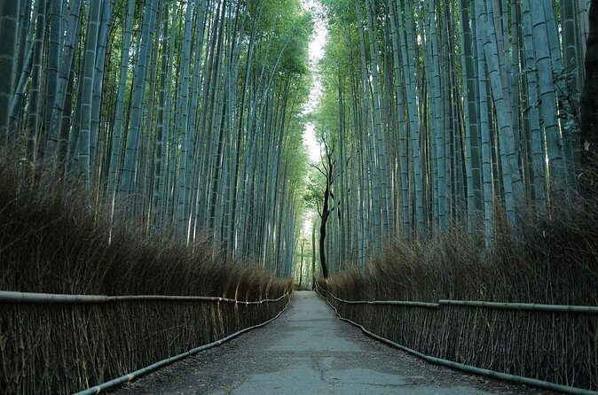 Kyoto Arashiyama Bamboo Forest Hiking TourHidden Temples - FAQ