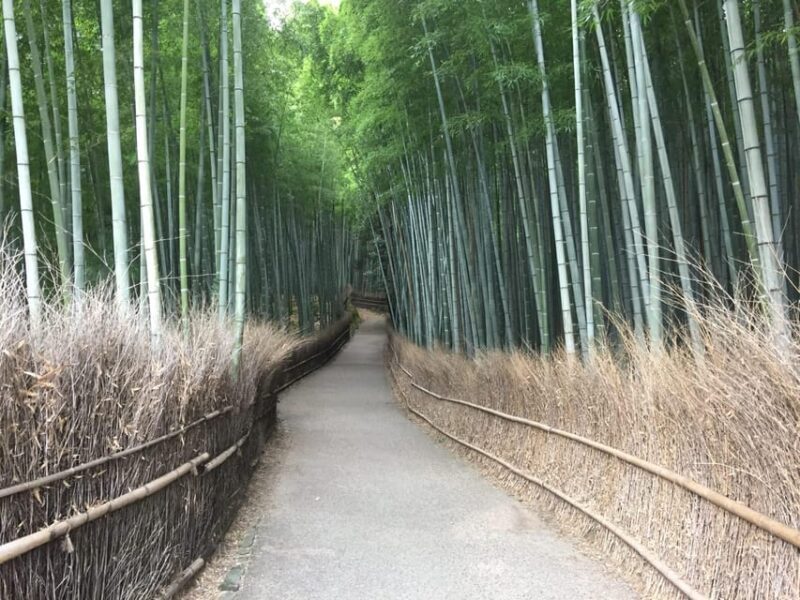 Kyoto, Arashiyama: Bamboo Grove Half-Day Private Guided Tour - A Closer Look at the Itinerary
