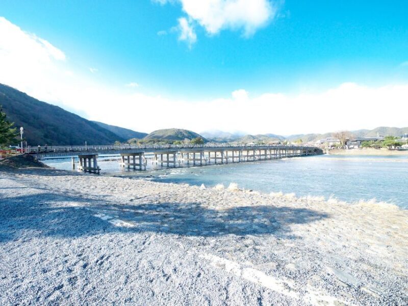 Kyoto: Arashiyama Bamboo, Temple, Matcha, Monkeys, & secrets - The Value of This Tour