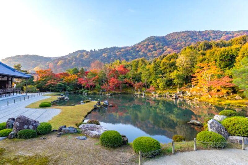Kyoto: Arashiyama Bamboo, Temple, Matcha, Monkeys, & secrets - Practical Tips