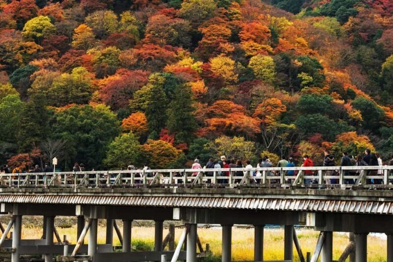 Kyoto: Arashiyama Bamboo, Togetsukyo bridge, Sanso, and more - Who Is This Tour Best For?