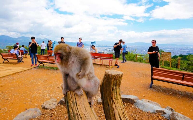 Kyoto: Arashiyama Chopstick Carving Workshop - A Closer Look at the Experience