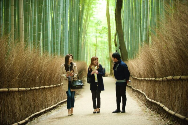 Kyoto: Arashiyama Customized Rickshaw Tour & Bamboo Forest - The Value of a Private Rickshaw Tour