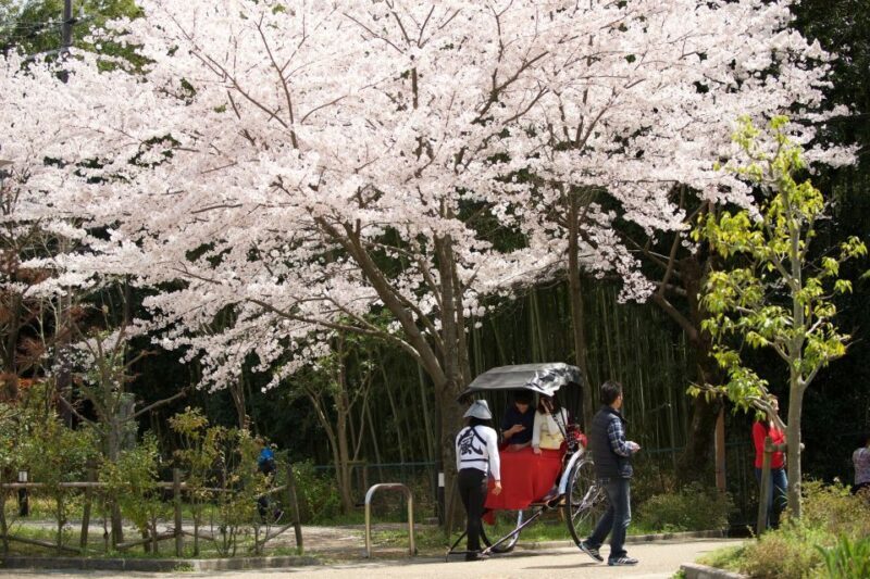 Kyoto: Arashiyama Customized Rickshaw Tour & Bamboo Forest - FAQ