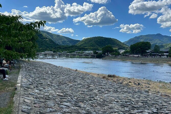 Kyoto Arashiyama Easy Walk Tour - Who should consider this tour?