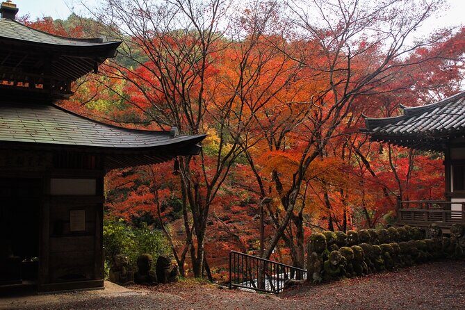 Kyoto Arashiyama Easy Walk Tour - Final thoughts