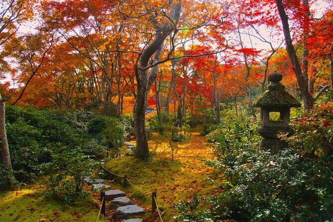 Kyoto Arashiyama: Fall Foliage Walking TourAutumn's limited - Wrapping Up