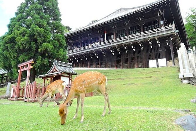 Kyoto Arashiyama Fushimi Inari Taisha Shrine and Nara Park Tour - Starting Bright and Early: Meeting in Osaka