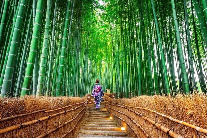Kyoto Arashiyama Fushimi Inari Taisha Shrine and Nara Park Tour - The Practical Side: Transportation, Price, and Group Size