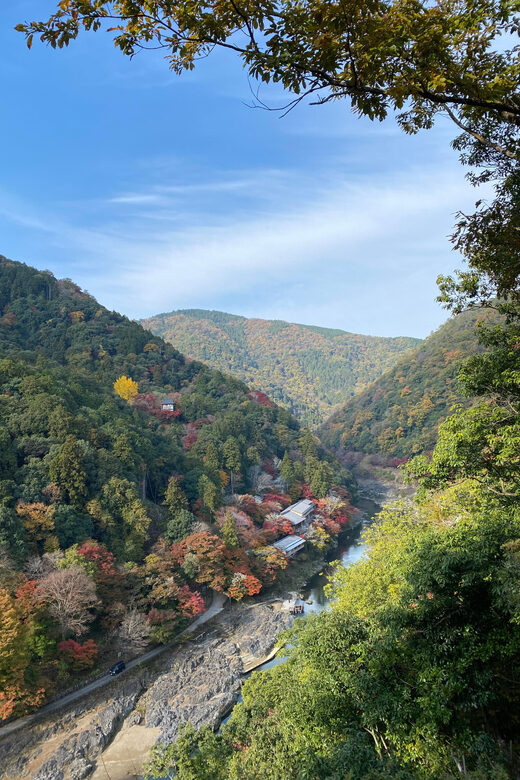 Kyoto: Arashiyama Guided Tour, Bamboo, Monkey, Zen Temple - An In-Depth Look at the Experience