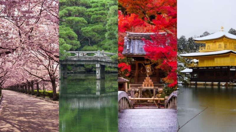 Kyoto: Arashiyama, Kinkakuji, Gion, and Fushimi Inari Tour - An In-Depth Look at the Tour