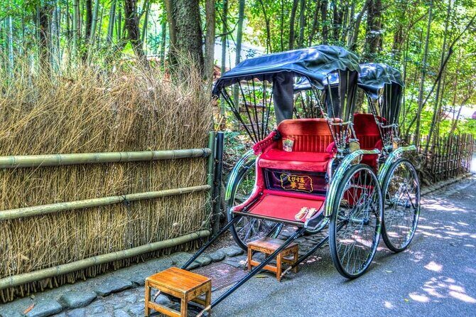 Kyoto Arashiyama, Nara Park, and Fushimi Shrine Tour - Travel and Logistics