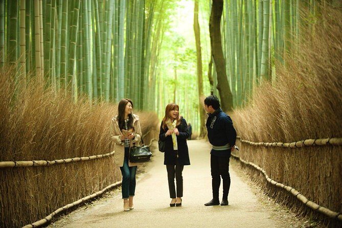 Kyoto Arashiyama Rickshaw Tour with Bamboo Forest - An In-Depth Look at the Tour Experience