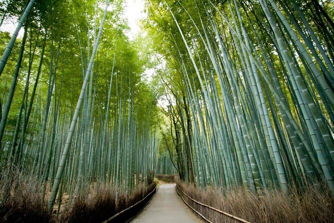 Kyoto Arashiyama Rickshaw Tour with Bamboo Forest - The Sum Up