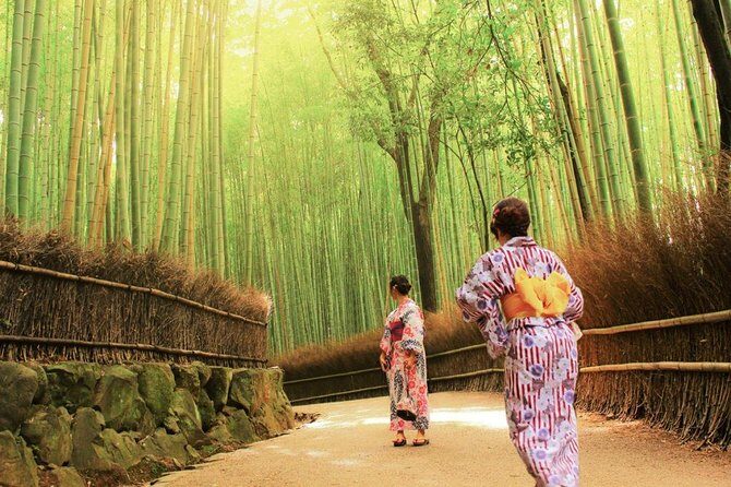 Kyoto Arashiyama & Sagano Bamboo Private Tour with Government-Licensed Guide - Key Points