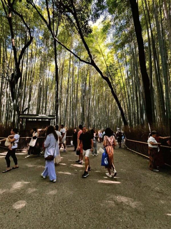 Kyoto: Arashiyama & Takao Bamboo, River & Mountain Hike - A Day in Kyoto’s Natural Wonders