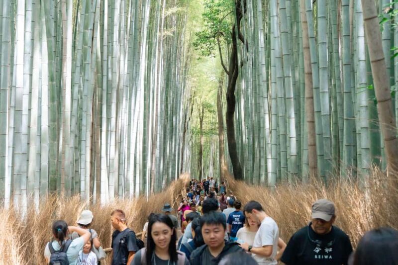 Kyoto Arashiyama tour: Iconic Sights and Hidden Treasures - Key Points