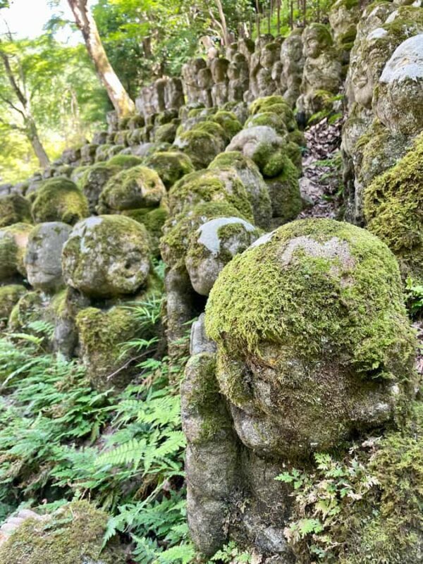 Kyoto: Arashiyama Tour with Maiko River Cruise - An Authentic Look at Kyoto’s Less-Trodden Paths