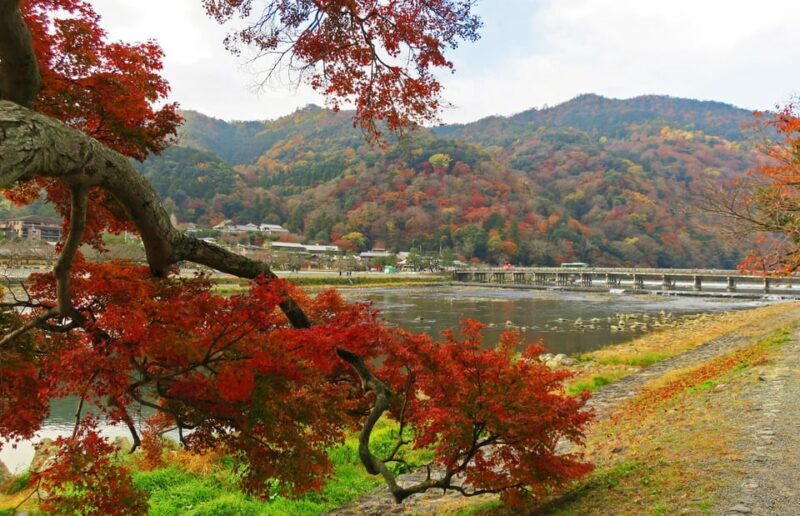 Kyoto: Arashiyama Tour with optional Sagano Romantic Train - Summary: Who It’s Best For
