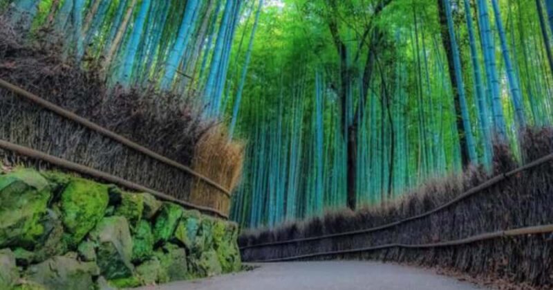 Kyoto: Arashiyama Unveiled Bamboo, Temple, Matcha, & Monkeys - Exploring Tenryu-ji Temple: A Zen Masterpiece