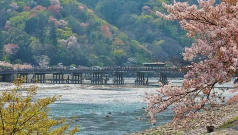 Kyoto: Arashiyama Unveiled Bamboo, Temple, Matcha, & Monkeys - Authenticity and Value: Why This Tour Works