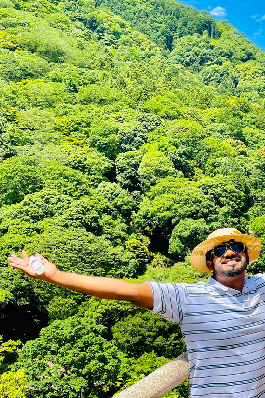 Kyoto Arashiyama Walking Tour: Bamboo Grove, Monkey&Secrets. - Authentic Experiences and Feedback