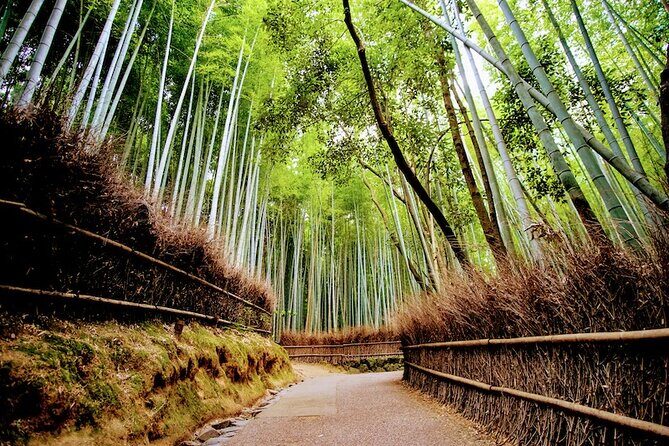 Kyoto Arashiyama Walking Tour - Bamboo, Monkeys, Temple & Secrets - FAQs