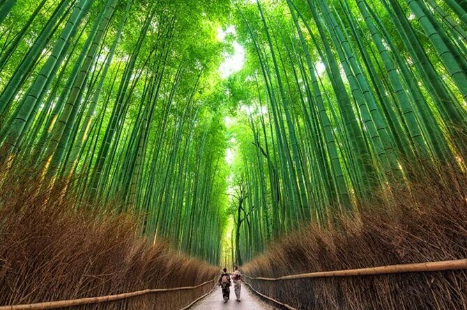 Kyoto: Arashiyama Walking Tour UNESCO World Heritage - Key Points