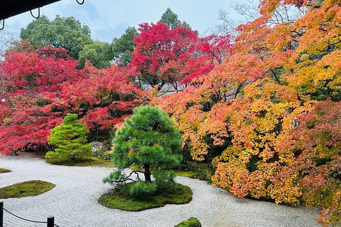 Kyoto Autumn Foliage Private Car Tour Temples and Gardens - The Itinerary in Detail