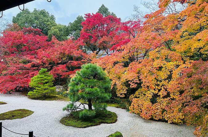 Kyoto Autumn Foliage Private Car Tour Temples and Gardens - FAQ