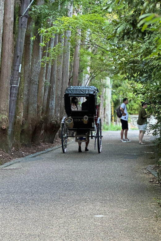 Kyoto: Avoid the Crowds at the Hidden Gems of Arashiyama - Final Thoughts