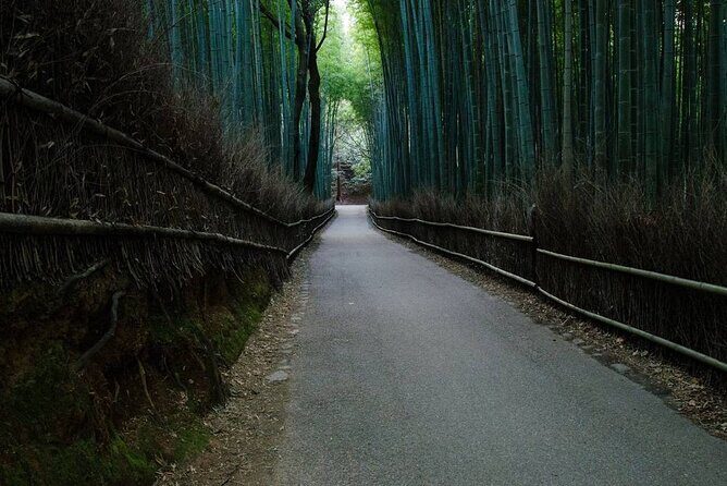 Kyoto Bamboo Forest & Golden Pavilion E-Bike Tour - What Our Reviewers Say