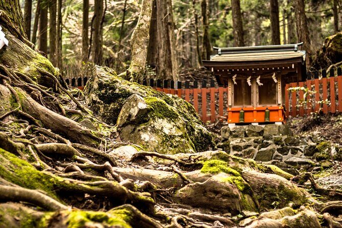 Kyoto: Bask in the Sacred Nature and Rich History in Kifune - The Sum Up