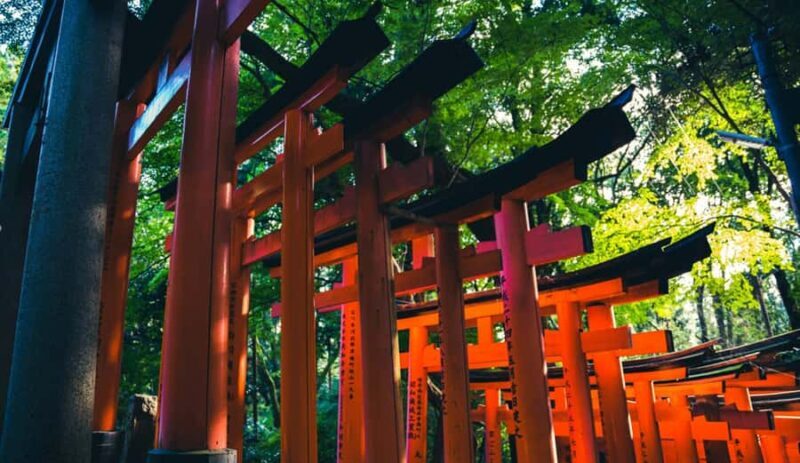 Kyoto: Beat the Crowds "Big 2" Tour (Inari & Arashiyama) - Key Points