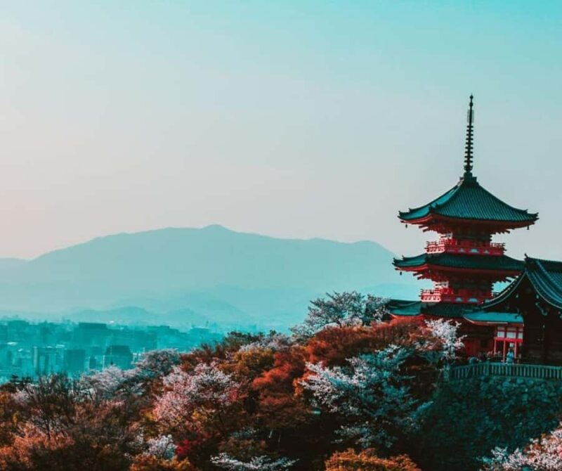 Kyoto: Best Food Tour With a Guide - Key Points