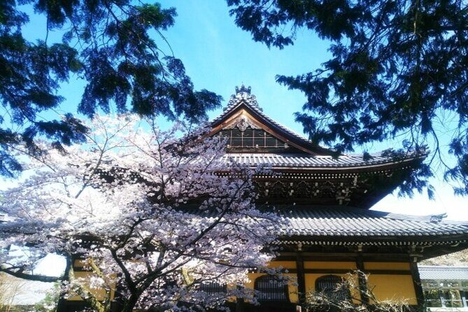 Kyoto Cherry Blossom 1 Day Walking Tour - A Detailed Look at the Kyoto Cherry Blossom Tour